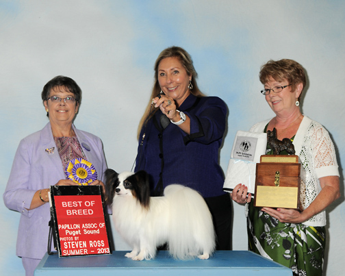 PAPS 2013 Specialty Photos | Papillon Association of Puget Sound